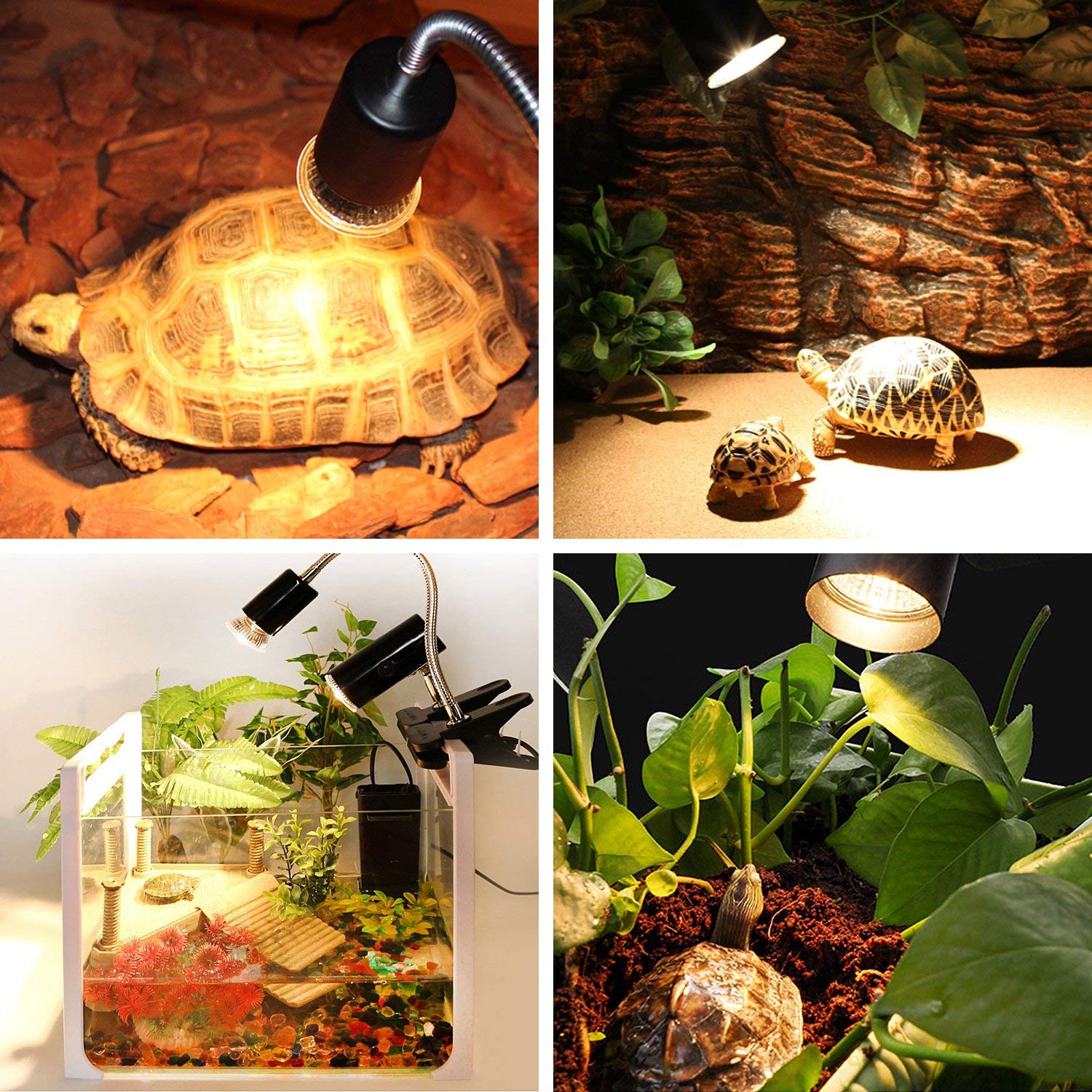 OMAYKEY 75W 6 Pack UVA + UVB Full Spectrum Sun Lamp Sunbathe Heat Lamp/Bulb/Light for for Lizard Bearded Dragon Chameleon Snake Turtle Aquarium Reptiles & Amphibians