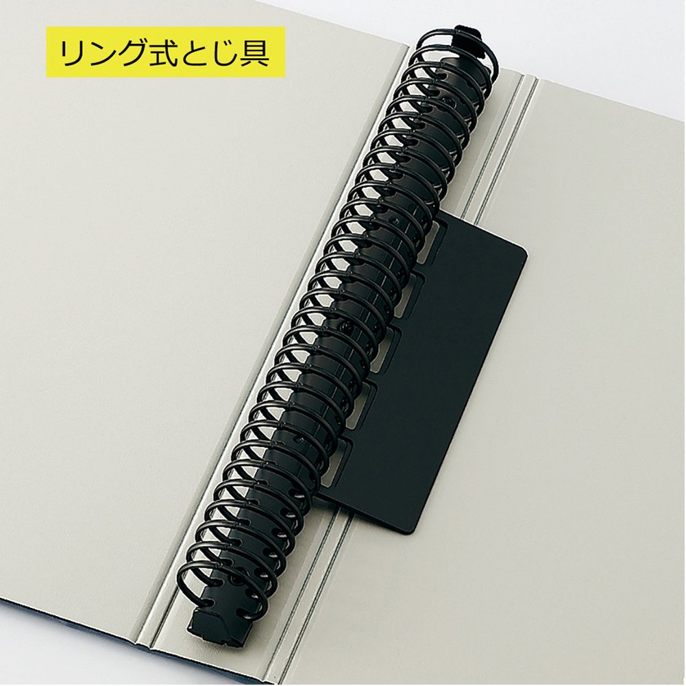 King Jim 3139-3 Clear File Replaceable Large Pocket A4S, Blue