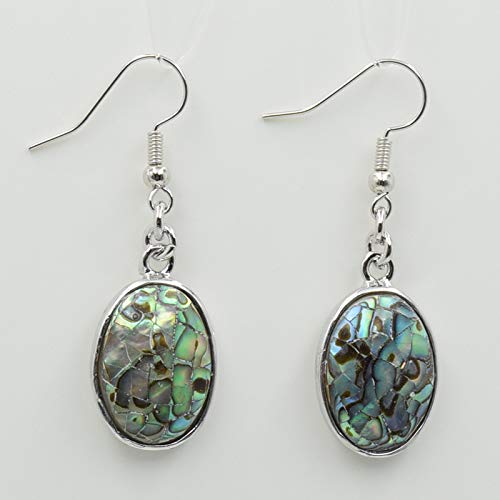 Oval Natural Abalone Shell Hook Earrings Egg Shape Dangle Drop Earring for Women Girls Gift Casual Beach Summer Ear Jewelry
