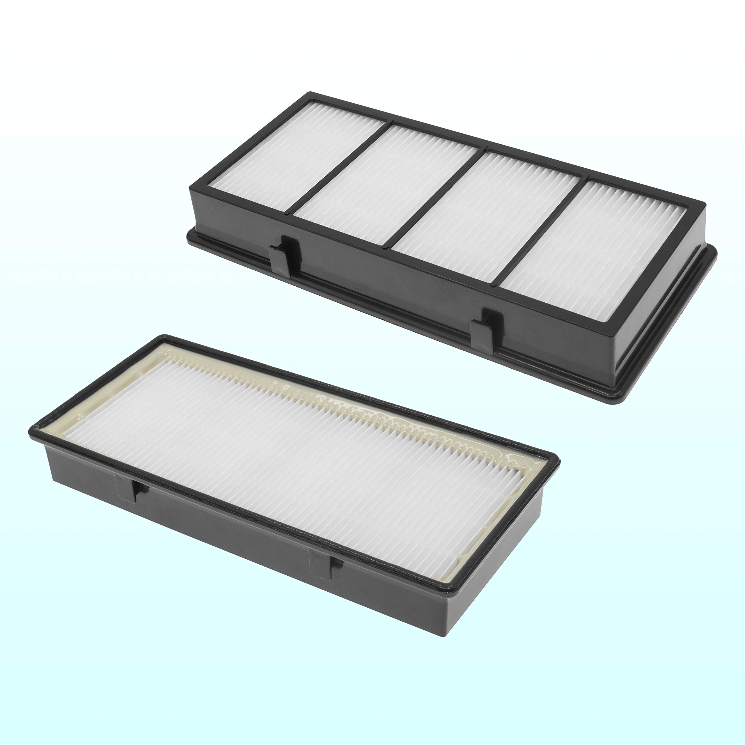 Lhari HAPF300 True HEPA Filter, Compatible with Holmes AER1 HAPF300, HAPF30 and Bionaire Units, Allergen Remover, Pack of 2