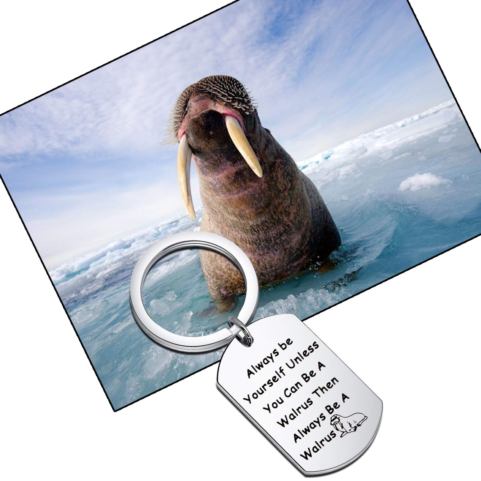 LQRI Walrus Gift Walrus Inspirational Jewelry Always Be Yourself Unless You Can Be a Walrus Then Always Be a Walrus Keychain For Her Him (d- walrus)