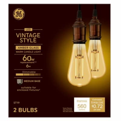 LED Vintage Light Bulb, ST19, Warm White, Amber Bulb, 560 Lumens, 6-Watt, 2-Pk.