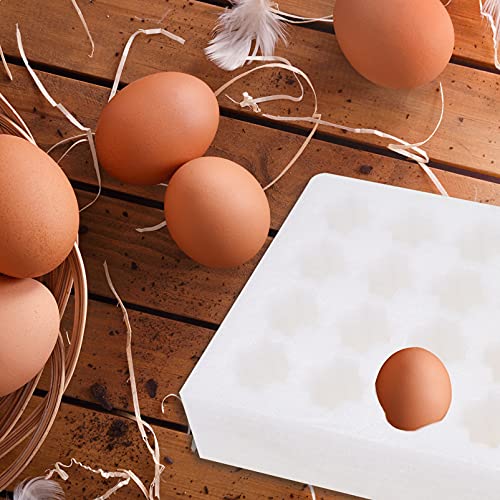Mobestech Foam Egg Cartons 2pcs Proof Crate Storage Storing Dampening Holder for Pe Padding Container Containers Practical Fixing Fixator Egg No Sound Grids Foam Resistant Kitchen Cushion