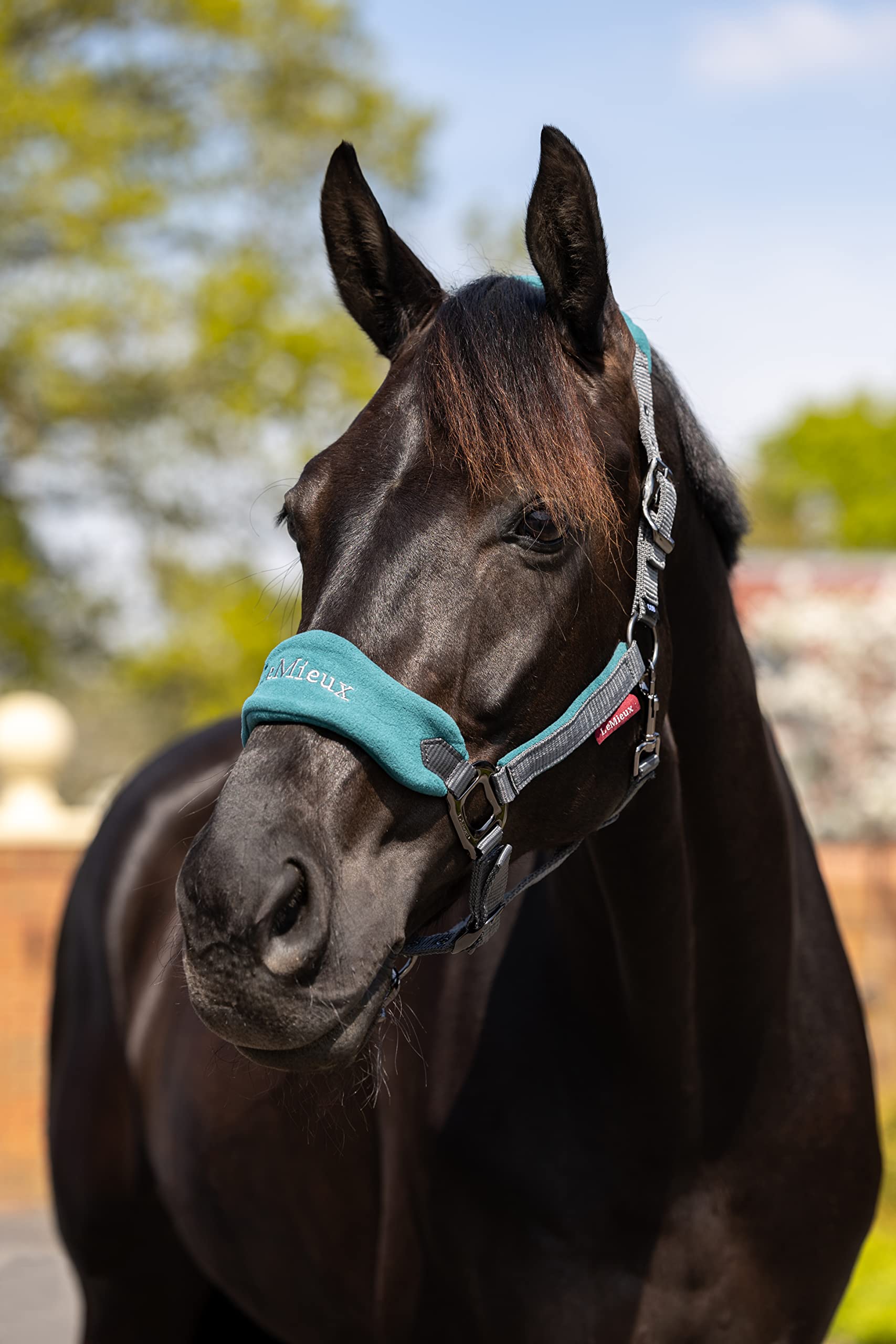 LeMieux Vogue Fleece Headcollar - Halter & Leadrope (Peacock - X-Full)