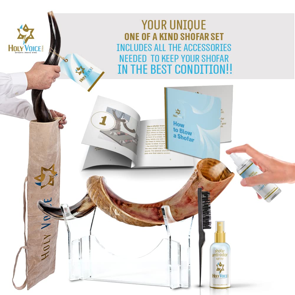Kosher Kudu Shofar Horn from Israel – Traditional Half Polished Yemeni Shofar Includes Carrying Bag, Brush, Anti Odor Spray and Blowing Guide - Holy Easy Blowing Ancient Musical Instrument (36"-39")