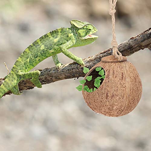 M I A 2 Pcs Crested Gecko Hut with 2 Vines Hanging Coconut Shell Reptile Treat Food Dispenser Bird Nest Reptile Hide Cave Lizard Nesting Hideout for Small Animal Random Color