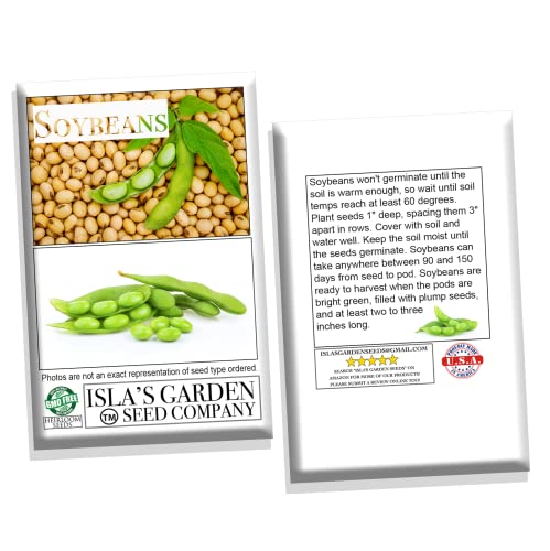 Soybeans Seeds for Planting, 25+ Heirloom Seeds Per Packet, (Isla's Garden Seeds), Non GMO Seeds, Botanical Name: Glycine max, Great Home Garden Gift
