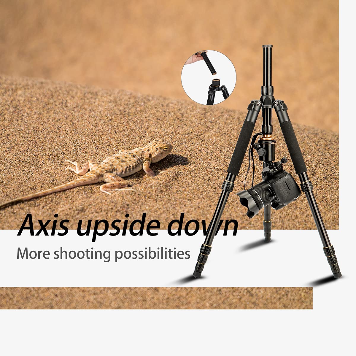 Koolehaoda 61.5" Portable Camera Tripod Compact Aluminium Tripod Monopod with 360 Degree Ball Head for SLR Camera, Max Load 15kg