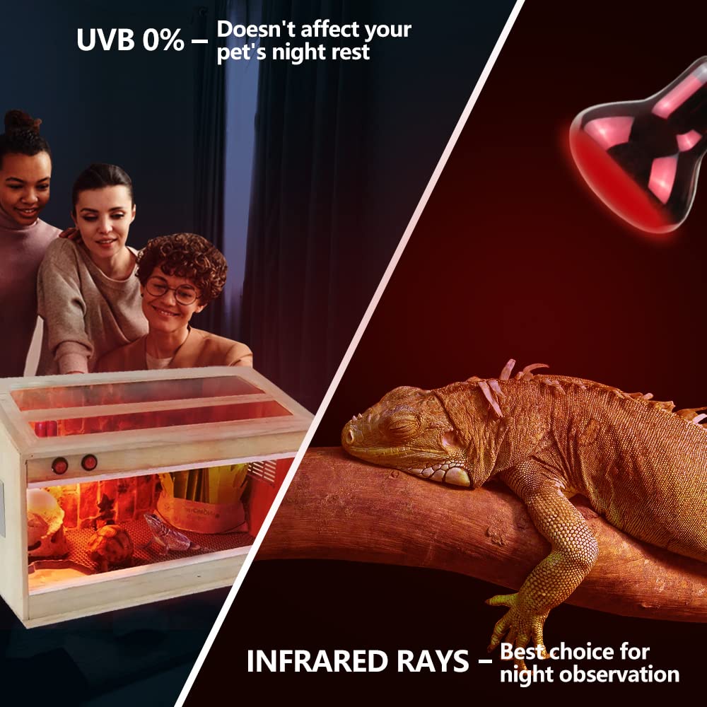 LUCKY HERP Infrared Heat Lamp 100W 2 Pack,Reptile & Amphibian Basking Spot Light Bulbs, Red Heat Lamp Bulbs for Reptiles, Bearded Dragon, Turtle, Lizard, Snake, Chicken