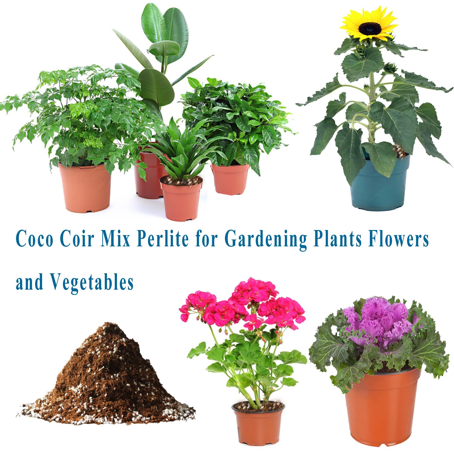 JFWOD 10 Quart 70/30 Coco Coir Perlite Potting Mix, Organic Garden Soil for Plant Growth, Great for Gardening Plants Flower Herbs and Vegetables
