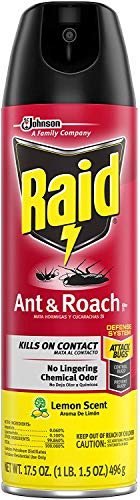 Raid Ant & Roach Killer Lemon Scent, 17.5 OZ (12)