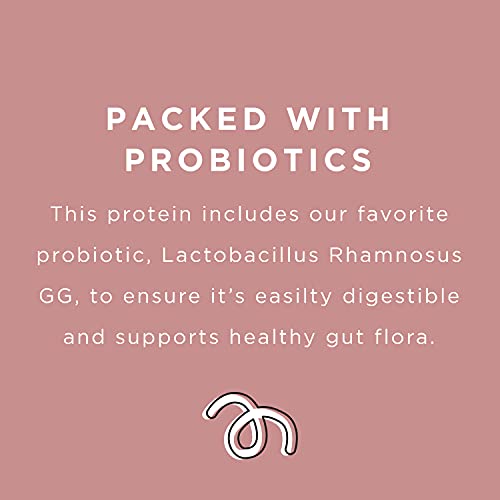 JSHealth Vegan Pea Protein Powder with Probiotics - Gluten Free, Non GMO, Plant Based Protein Drink Mix - 450g, Cookies & Cream