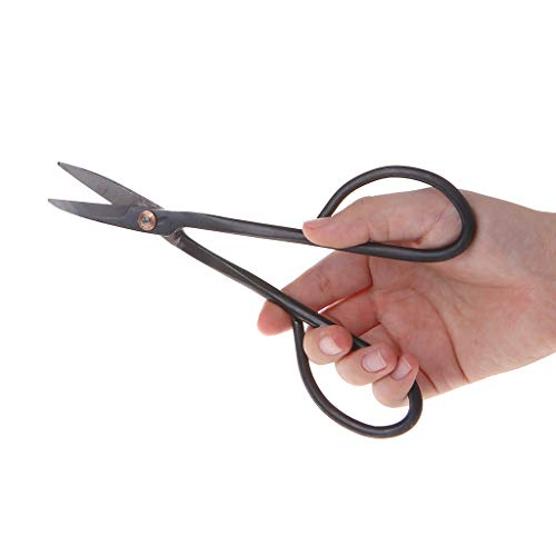 Sterose Beginner Bonsai Tool Long Handle Scissors Miniascape Gardening Branch Shears New