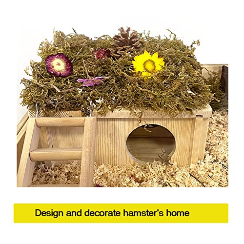 WEWAYKGJ Hamster Wood House Hideout 2-Chamber Hamster Wooden House Multi-Chamber Hamster Habitats Decor for Dwarf Chinchilla Mice Gerbils Gerbils Mouse and Other Small Rodents