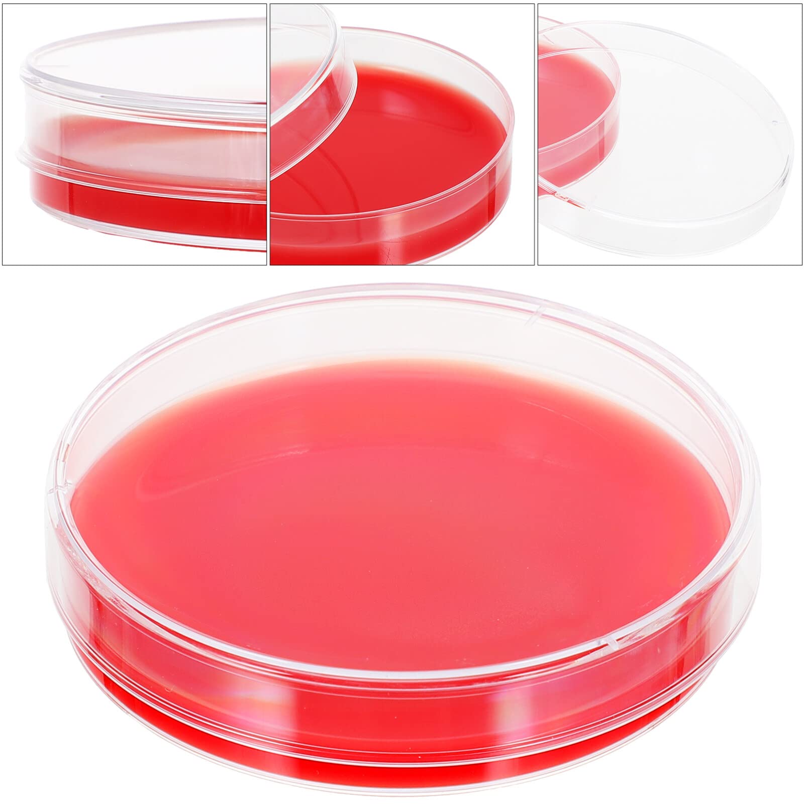 VILLCASE Blood Agar Plates, Blood Agar Medium Biological Determine Equipment, Lab Petri Dishes Blood Agar Plates Culture Dishes for Cultivation of Microorganisms