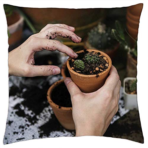 LESGAULEST Throw Pillow Cover (24x24 inch) - Ecology Environment Garden Gardening Glasshouse
