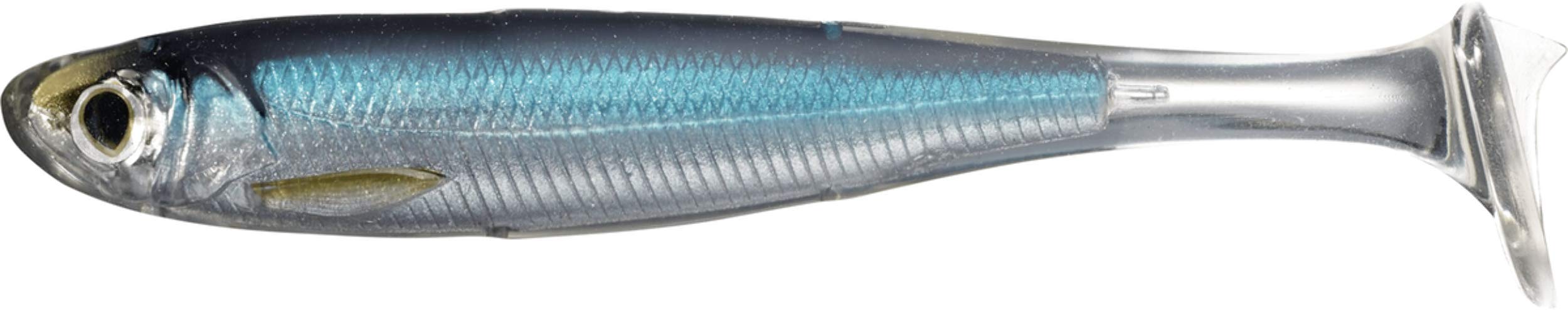 LIVE TARGET SRS100SK201 ICT Slow-Roll Shiner - Paddletail, 4", Multi, One Size
