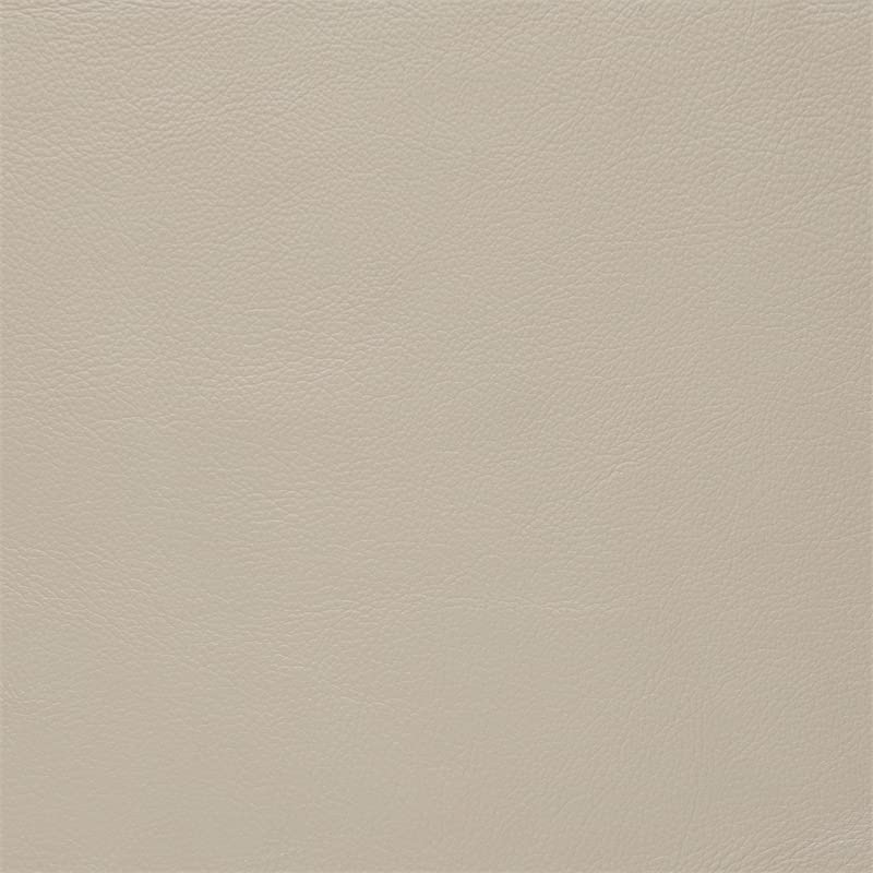 Lexicon Thierry 19" Modern Plywood and Leather Sofa in Cream Finish