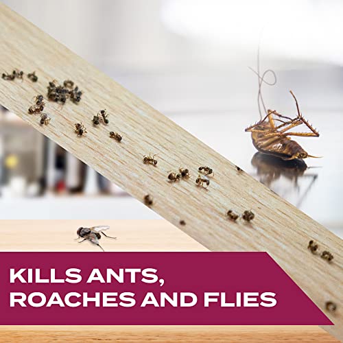 Stem Kills Ants, Roaches And Flies: Plant-Based Active Ingredient Bug Spray, Botanical Insecticide For Indoor And Outdoor Use; 12 fl oz (Pack Of 3)