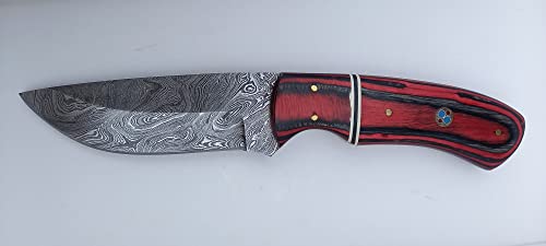 PSK22 - 1| 3| 5| 10| 15| 20 Pieces Pack Bulk Lot, Full Tang Hand Made Damascus Hunting Knife With Pakka Wood Handle, Camping Gift, Bulk Discounted (20 Pieces)