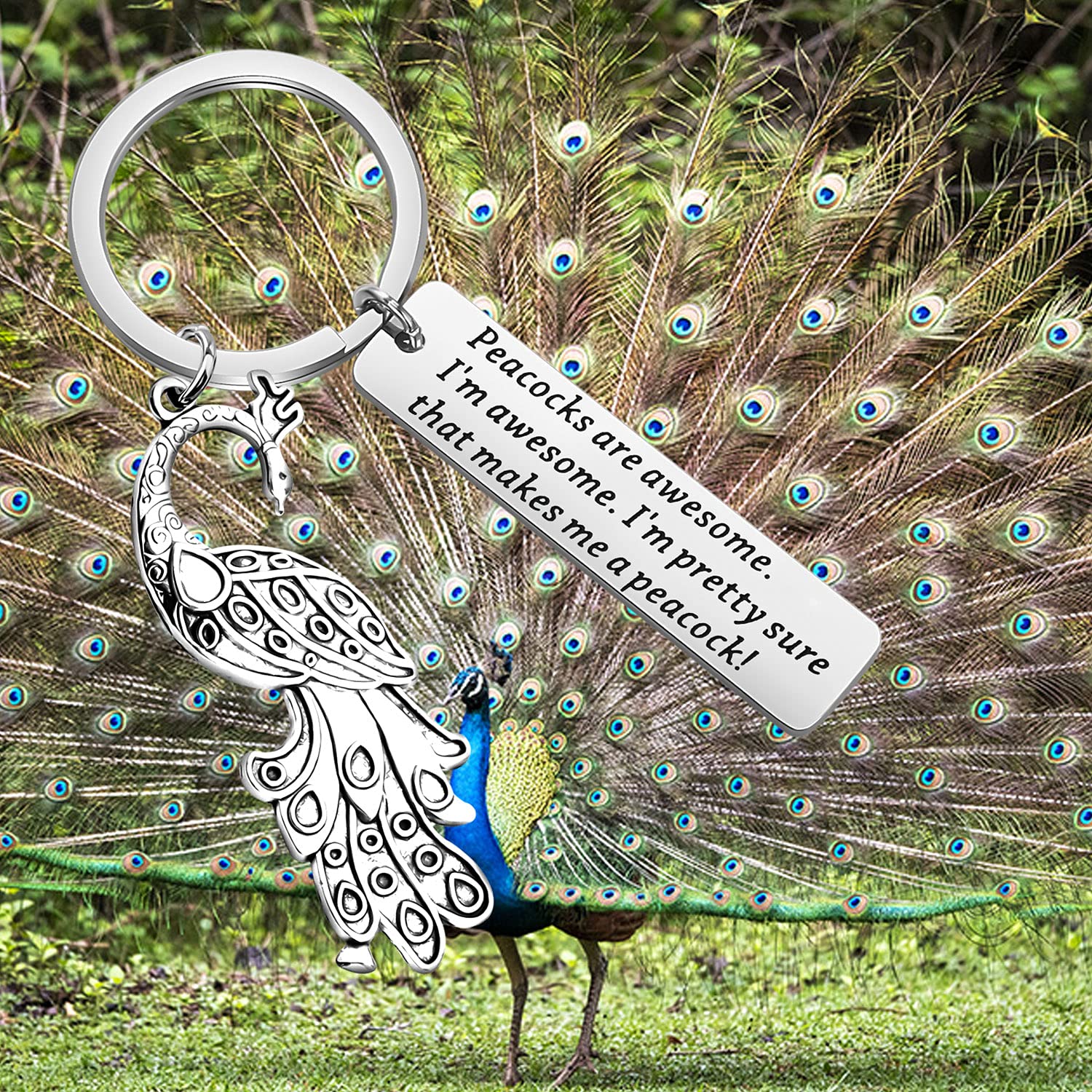 PENQI Peacock Jewelry Peacock Lover Gift Peacocks Are Awesome I'm Awesome Keychain Peacock Pendant Gift Idea (Peacocks are awesome)