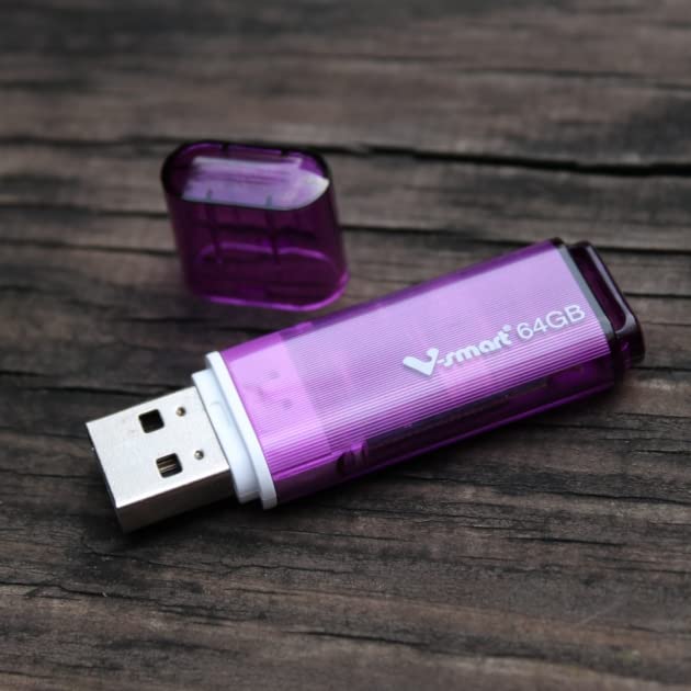 V-SMART EP122 64GB Secure Encrypted Colorful USB 3.1 Flash Drive | Secure Area Storage | Fold data storage - Purple