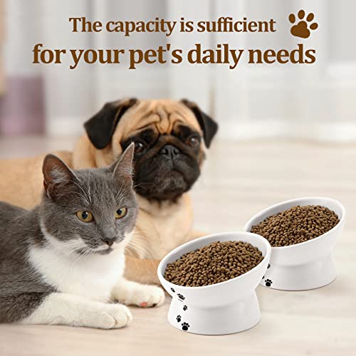 Yedio Porcelain Raised Cat Bowl, Tilted Cat Food Bowl with Anti Slip Band, Stress Free, Elevated Porcelain Pet Bowl Protect Pet's Spine, Backflow Prevention, Dishwasher Safe, White