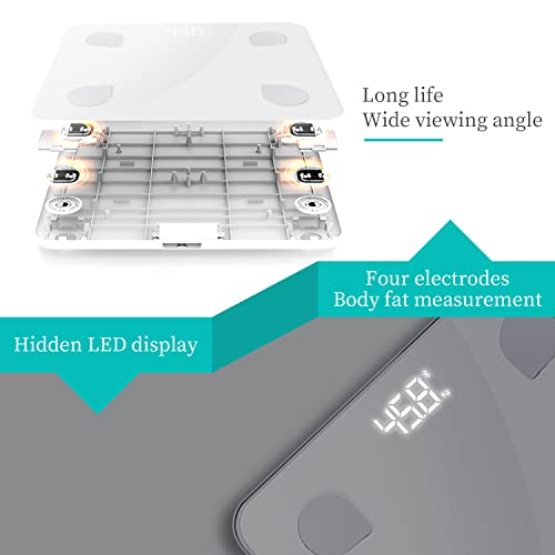 Smart Personnel Scale