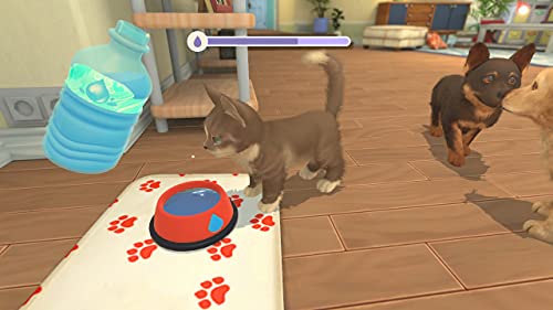 My Universe: Puppies and Kittens Nintendo Switch