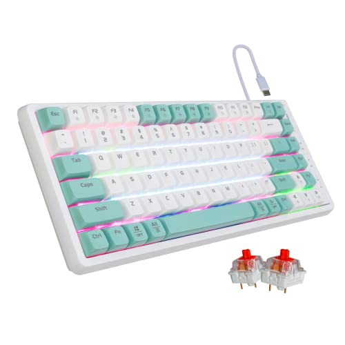 SUEHIODHY GK85 75% Hot Swap Mechanical Gaming Keyboard with MDA PBT Keycaps RGB Backlight Programmable Software for Mac/Win(Red Switch)