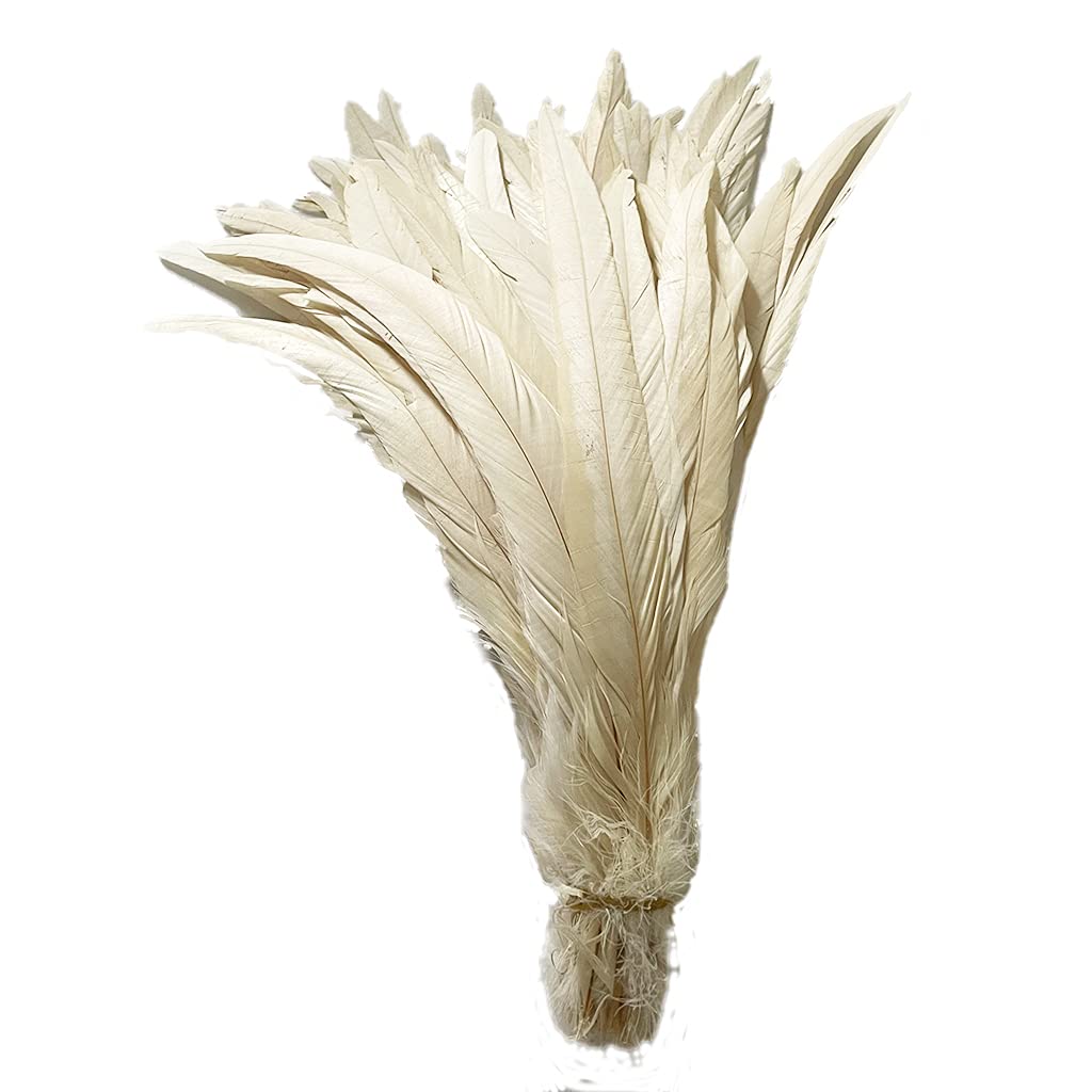 LONDGEN 20 PCS 14-16 inch Natural Rooster CoqueTail Feathers for Stage Performance and Costume Decoration, Halloween Carnival (Off White)