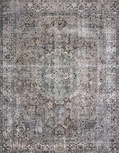Loloi LAYLA Collection, LAY-06, Taupe/Stone, 9'-0" x 12'-0", 13" Thick, Area Rug, Soft, Durable, Vintage Inspired, Distressed, Low Pile, Non-Shedding, Easy Clean, Printed, Living Room Rug
