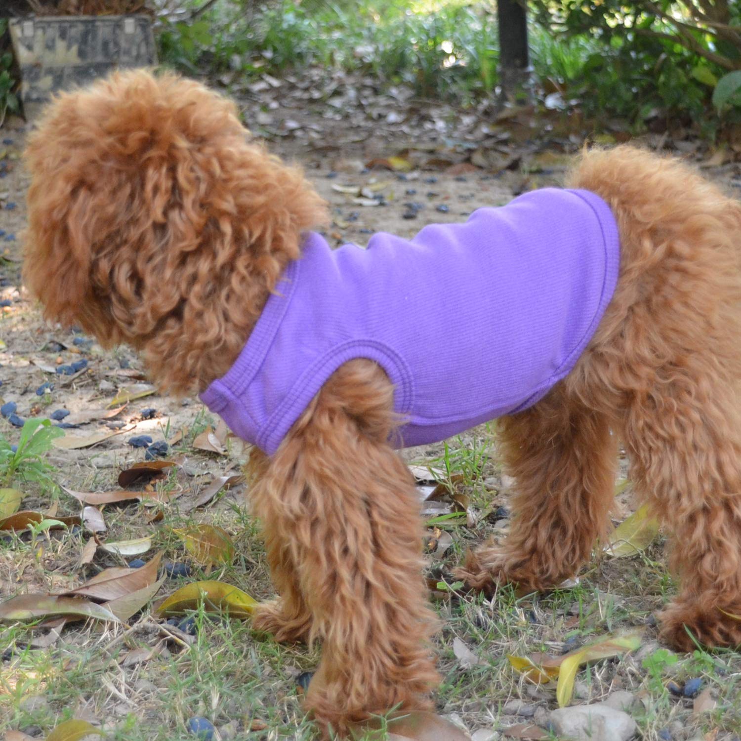 Lovelonglong 2019 Summer Pet Clothing, Dog Clothes Blank T-Shirts Ribbed Tanks Top Thread Vests for Large Medium Small Dogs 100% Cotton Purple L
