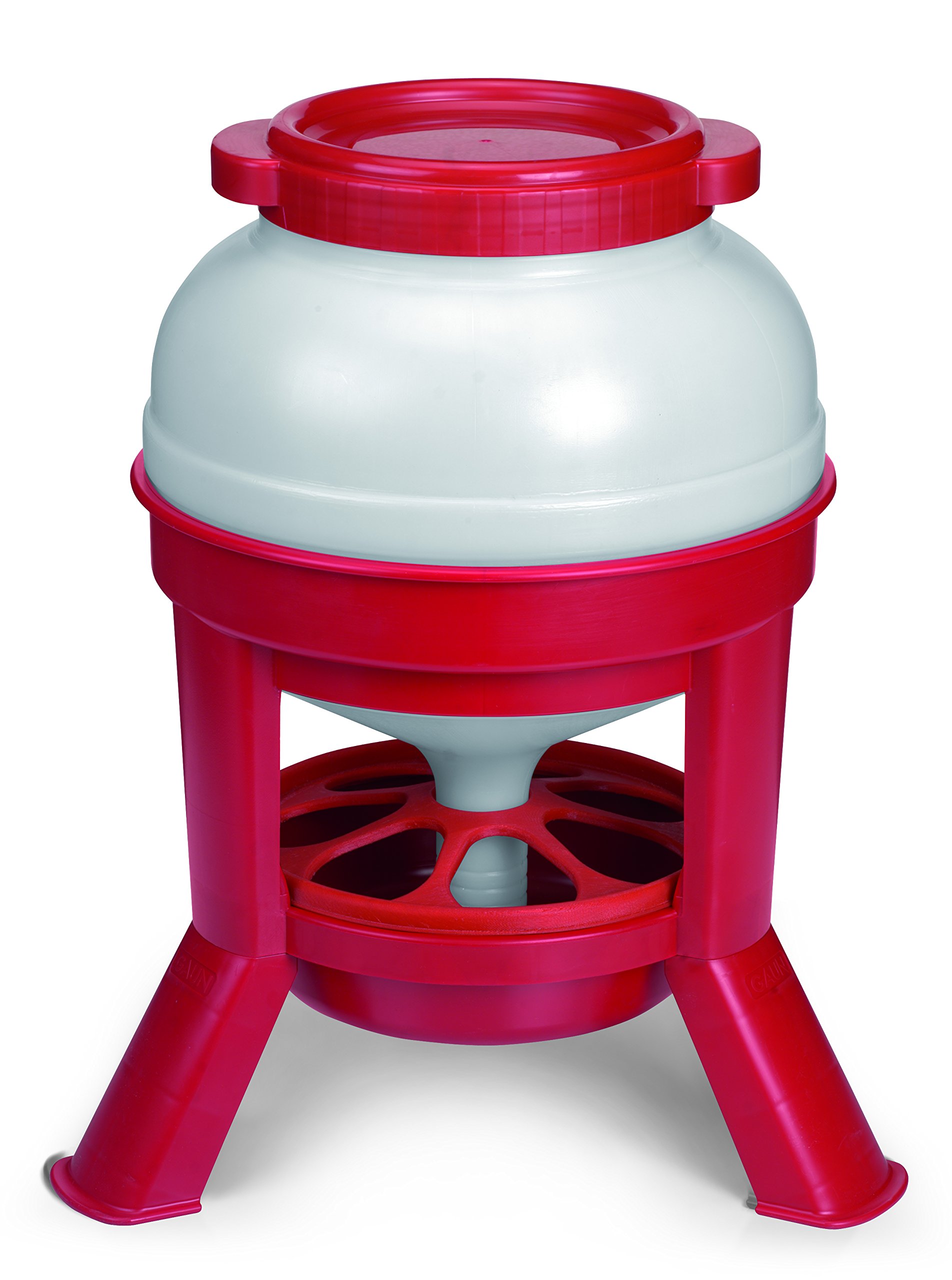 Little Giant® Plastic Dome Feeder | Heavy Duty Plastic Gravity Fed Poultry Feed Container Tank | Backyard Poultry for Hobbyists, Farmers and Ranchers | 35 LB