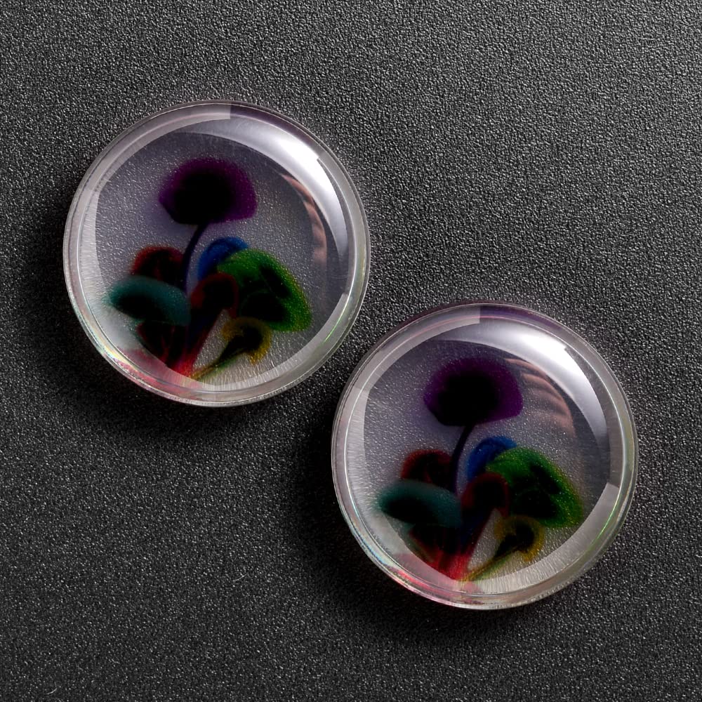 POBAISITER 2 PCS Resin Acrylic Transparent Ear Tunnels and Plugs Earrings Piercing Jewelry