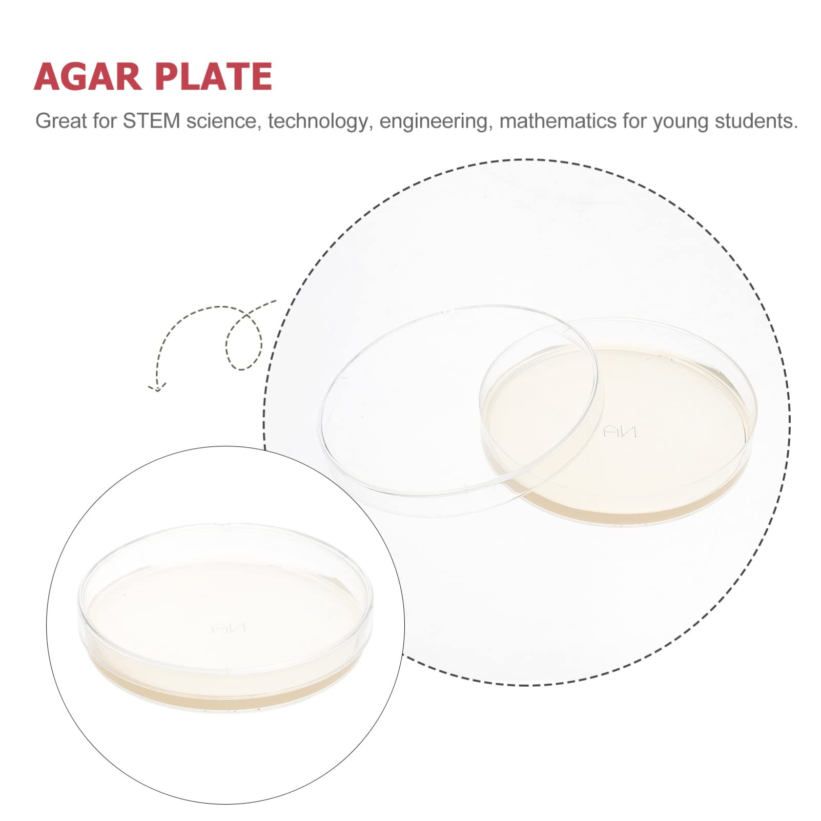 VILLCASE Agar Plates, 10pcs Laboratory Petri Dishes, Potato Dextrose Agar Plates, Pre- Poured Growth Medium for Mushrooms & Science Fair Projects (3.54X0.39inch)