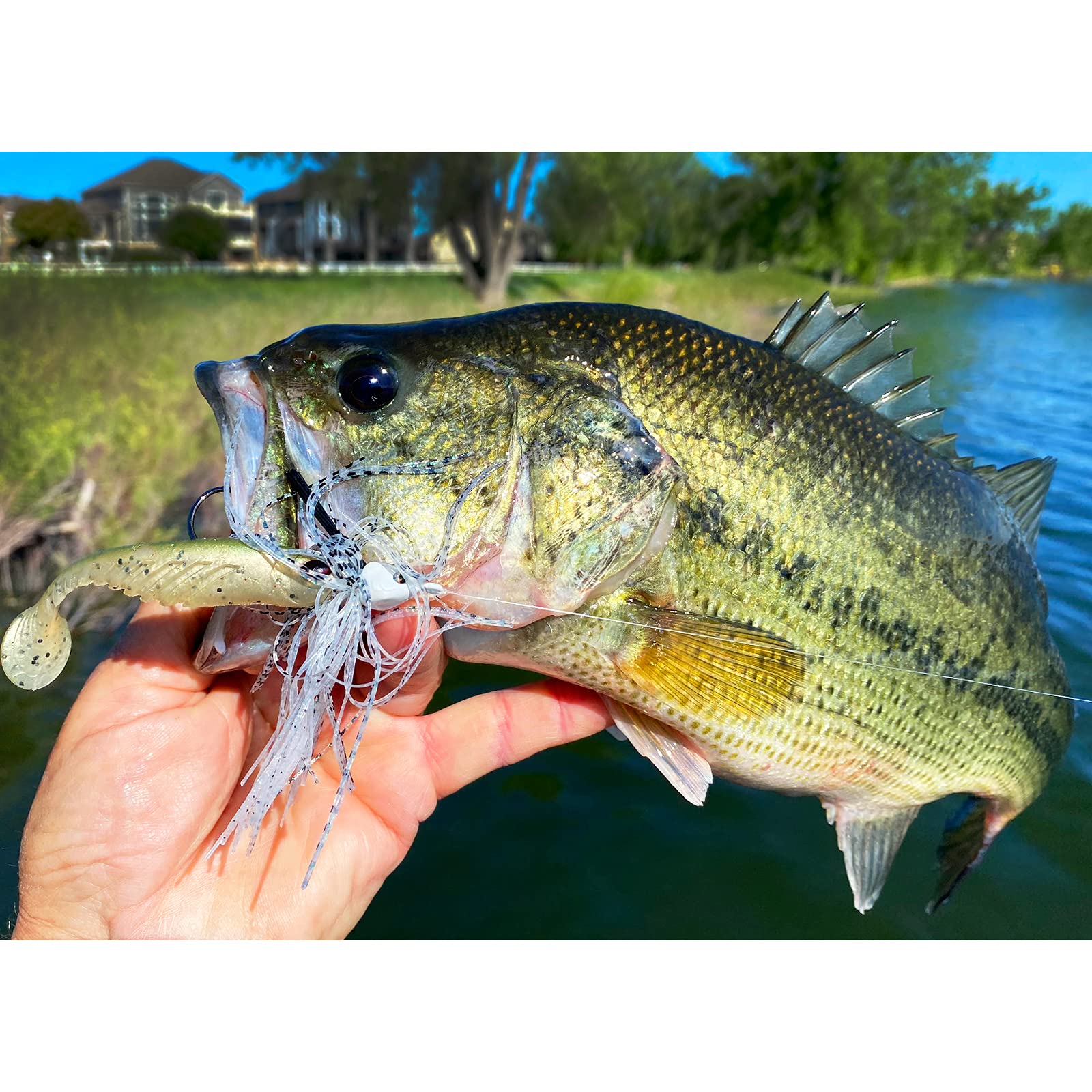 MadBite Swim Jig Fishing Lures, Heavy Brush Guard, Silicone Skirt, Sticky-Sharp Heavy-Wire Needle Point Hooks, Popular 3/8 oz Sizes, 3 pc Multi-Color Kits, includes Storage Box, Muddy Water