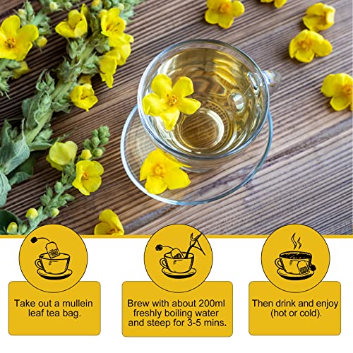 Mullein Leaf Herbal Tea for Respiratory Support, Mullen Tea for Lung Cleanse, Iymphatic Cleanse & Detox and Immune Support - No Caffeine, Non-GMO - 40 Tea Bags