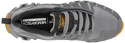 Reebok Men's ZigWild TR 6 Trail Running Shoe, Cold Grey/Pure Grey/Bright Ochre, 10.5