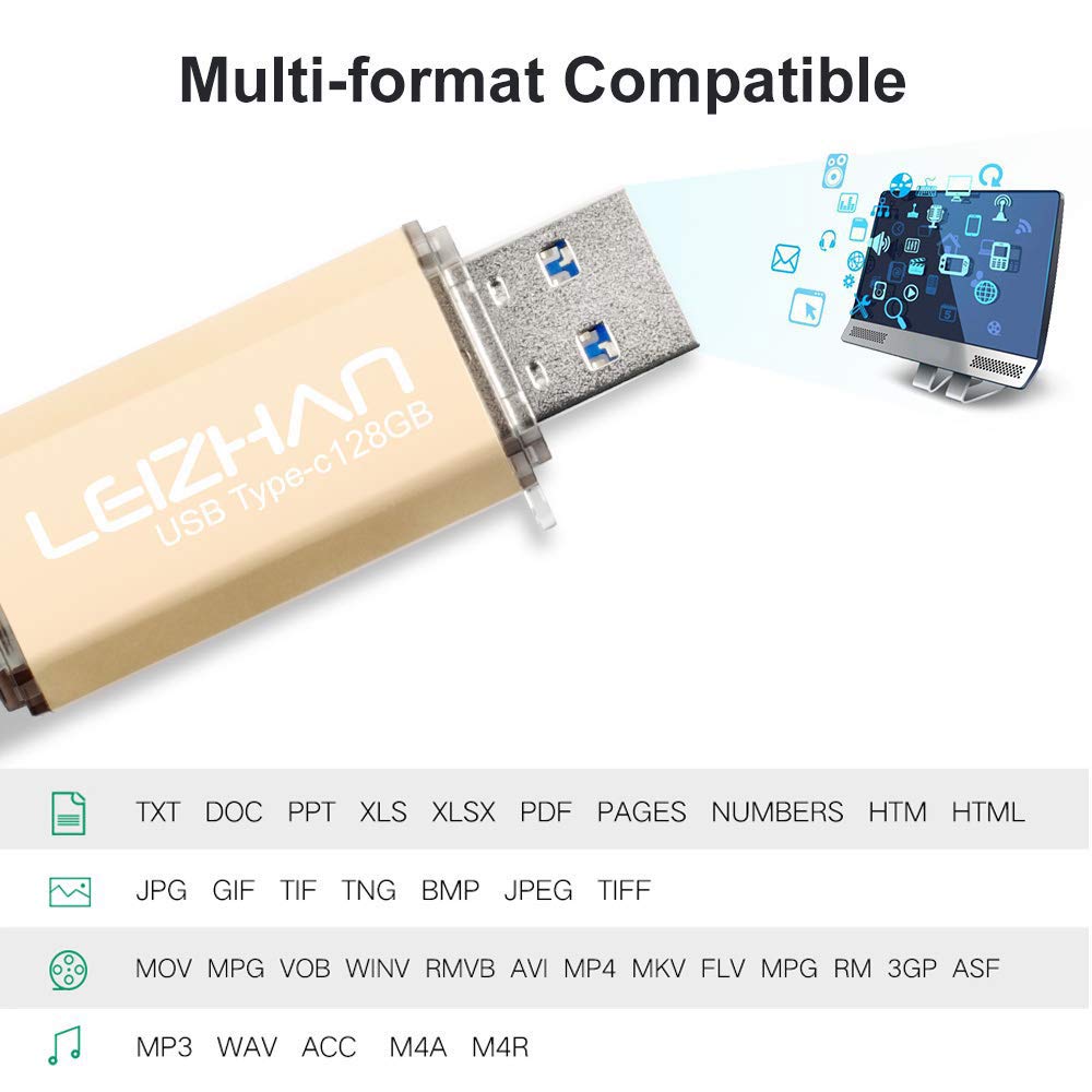 leizhan Type-C USB Flash Drive 256GB, USB C Photo Stick for Huawei P20,Samsung Galaxy S10, S9, Note 9, S8, S8 Plus, with USB OTG Adapter Micro and Type-C USB to USB Converter