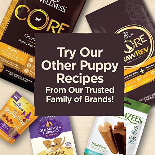 Wellness CORE Brainiac Puppy Soft Training Dog Treats (Previously Puppy Bites), Grain Free, Beef & Turkey, 5 Ounce Bag