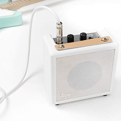 Loog Mini Amp and Cable