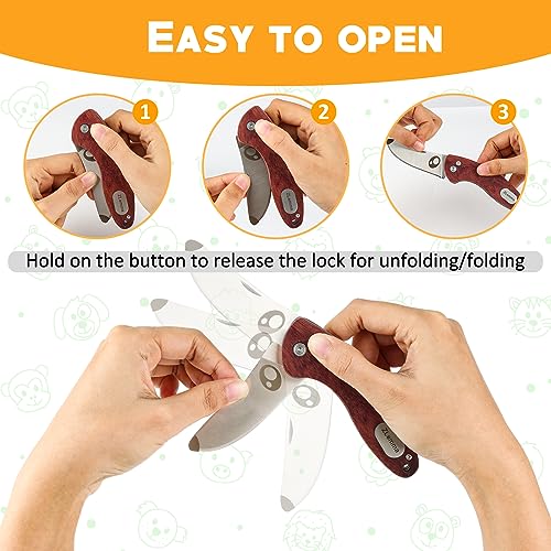 ZLemma Kids Pocket Folding Knife with Safety Rounded Tip, Made Of Japanese Stainless Steel and Rosewood, Childrenās First Folding Knife With Sharp Blade