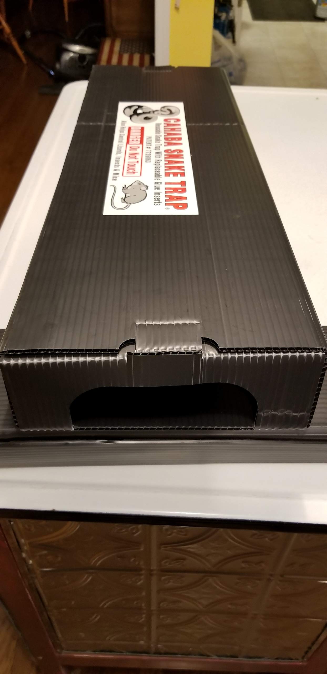 Snake Trap Large, (Foldable, Reusable 32"x10"x 3") with (1) Catch Insert, Commercial Grade, Made of Strong Corrugated Plastic in Alabama, USA