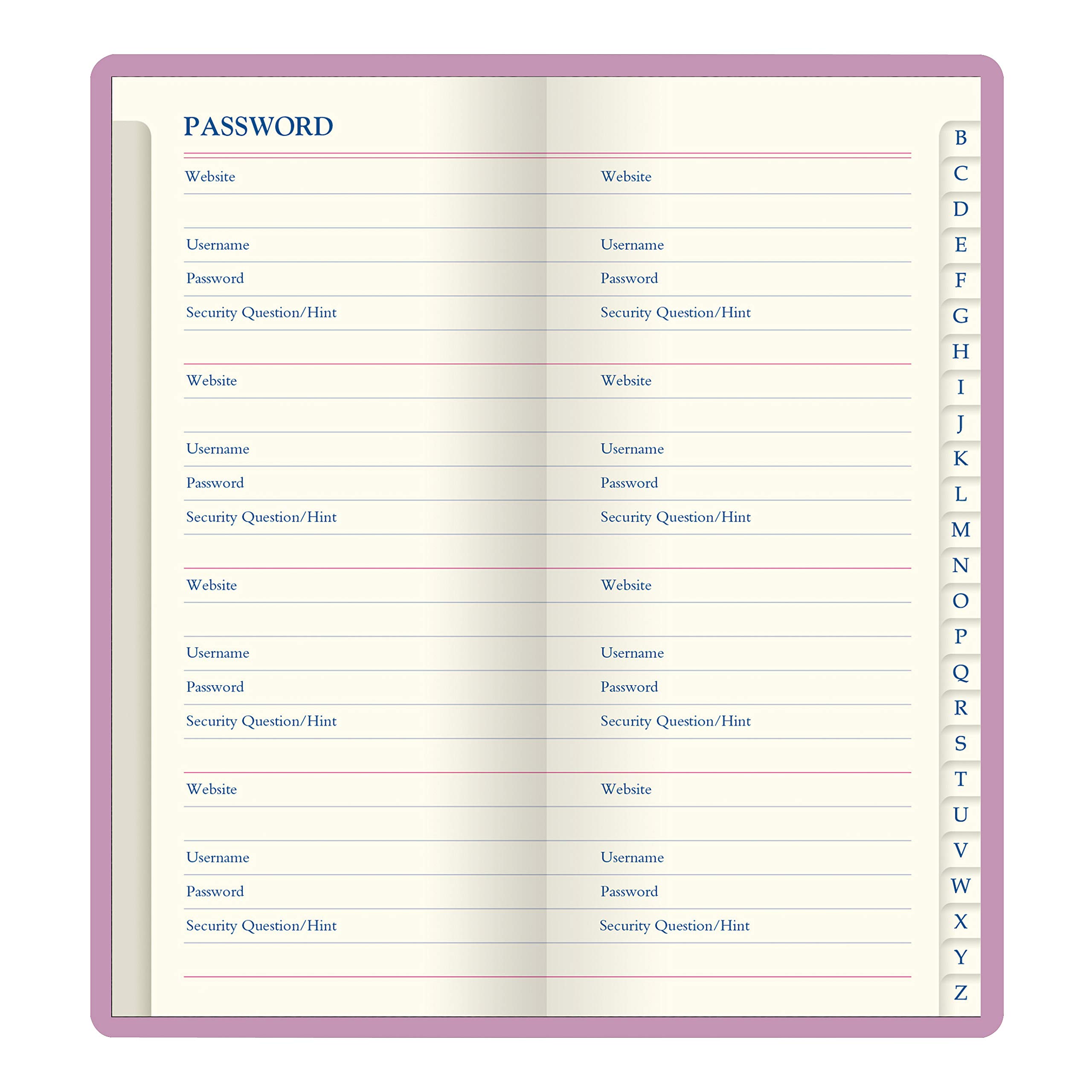 Letts Icon Slim Pocket Password Book, Cream Paper, 160 Pages, 5.75 x 2.75 x 0.375 Inches, Pink (B090131)