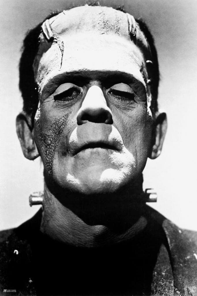 Laminated Frankenstein 1931 Boris Karloff Photo Retro Vintage Horror Movie Poster Horror Movie Merchandise Horror Decor Monster Spooky Scary Halloween Decorations Poster Dry Erase Wall Art 24x36
