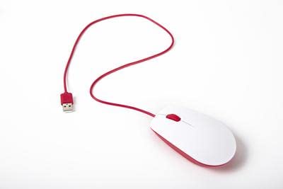 Vis Viva Official Raspberry Pi 4 Desktop Kit (2GB)