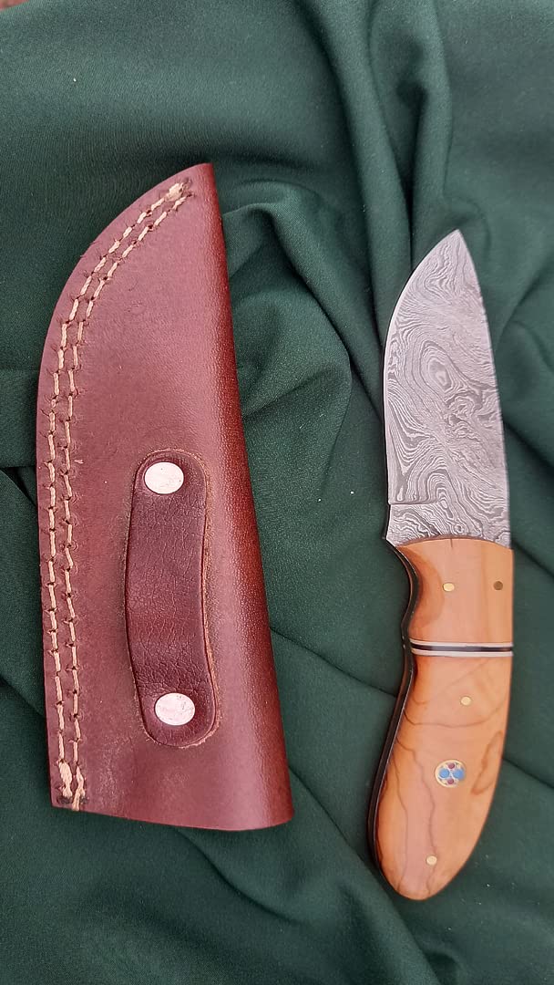 PSK20 - 1| 3| 5| 10| 15| 20 Pieces Pack Bulk Lot, Beautiful FIX Blade Damascus Steel Skinner knife Combination of Wood Handle GIFT, Bulk Discounted (3 Pieces)
