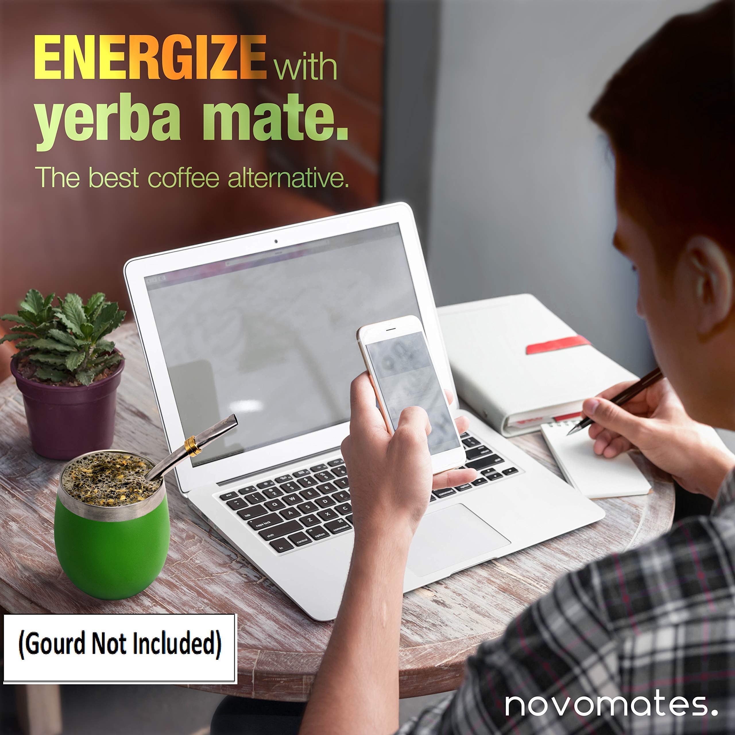 Novomates Easy Clean Yerba Mate Straw - Bombilla Mate for Mate Tea Drinking Filter Straw β Mate Straw Food-Grade Stanley Steel Mate Straw - 6.2" (15.8cm) Long (Mate Gourd not included)