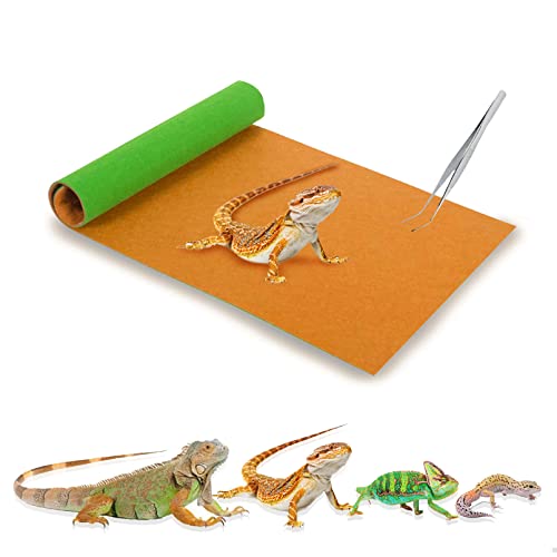 Tfwadmx 2 Pack Reversible Reptile Carpet, 39ββ x 20ββ Terrarium Bedding Substrate Liner Lizard Soft Mats Reptile Cage Mat Supplies and Tongs for Bearded Dragon Tortoise Leopard Gecko Snake
